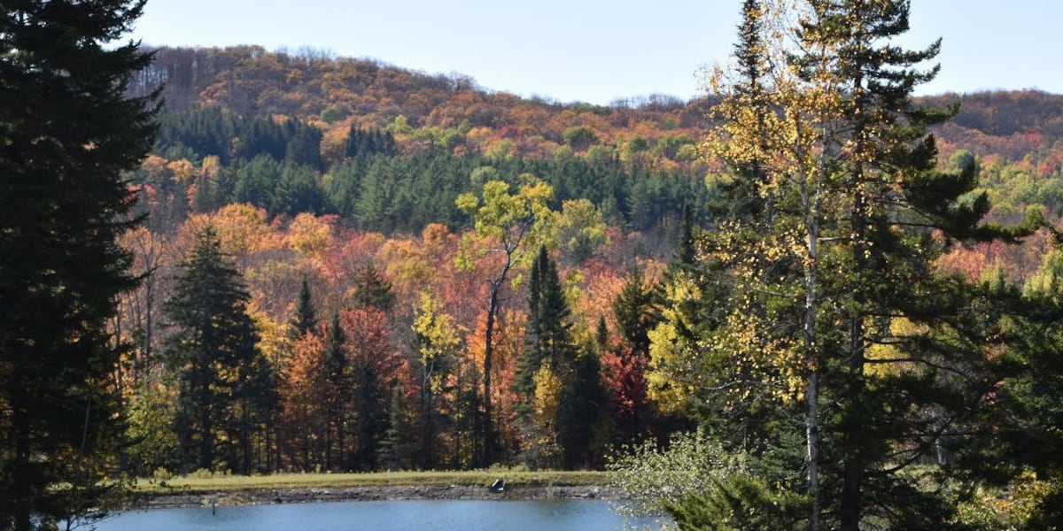 Leaf-peeping season expected to bring more tourists than years past Leaf-peeping season expected to bring more tourists than years past